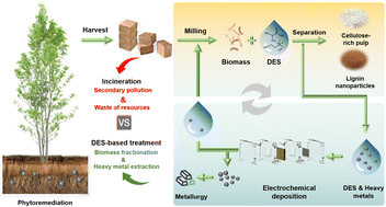 Papers published-Biomass Energy and Materials (BEM) Lab_Westlake University